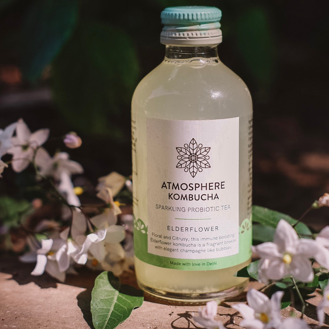 Order Blueberry Lavender Kombucha Probiotic Drink Online - Atmosphere ...